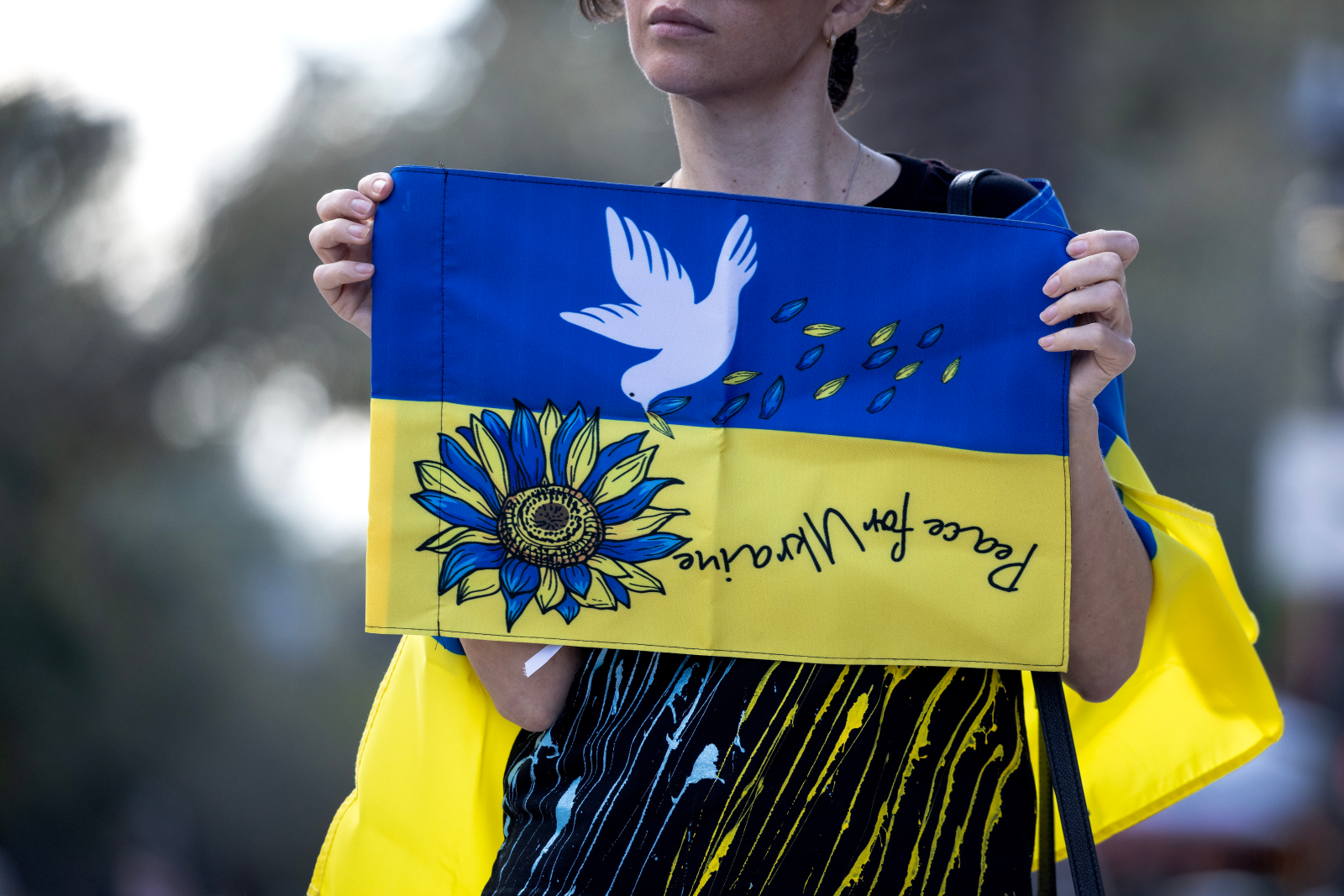 Feuerpause für die Ukraine?