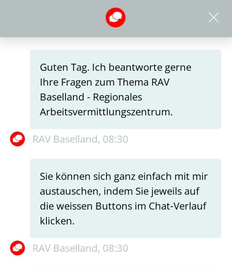 KI-Bot: Baselland möchte digitaler werden - Radio Basilisk